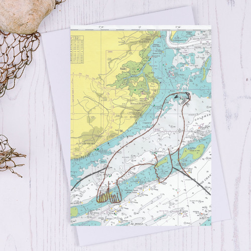 Walton Backwaters Seal Greetings Card - A6 | navistitch