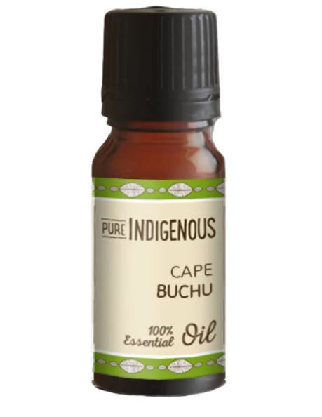 Buchu / Boegoe / Agothosma betulina | thetraditionalclinic