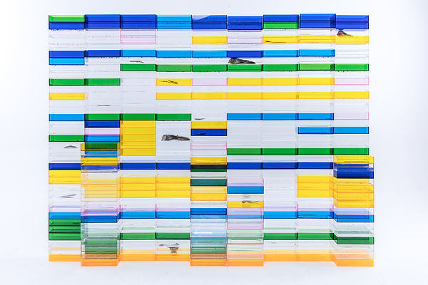 Project Wonderland | Haining Wang