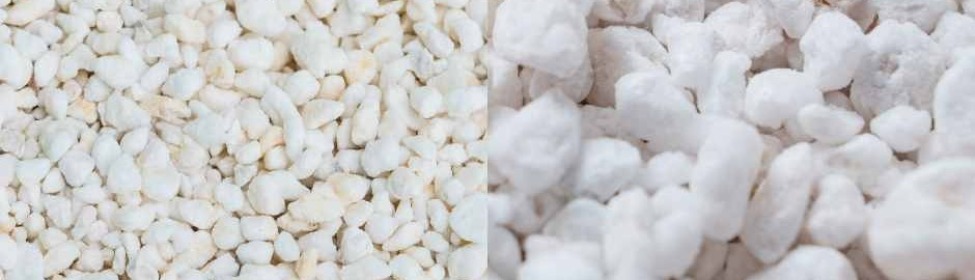 Perlite vs Vermiculite: Understanding the Differences and Best Uses