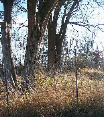 Old Ruckman Cemetery