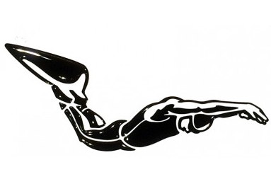 3D Stickers W12.003 Black or Silver | Freediving Planet