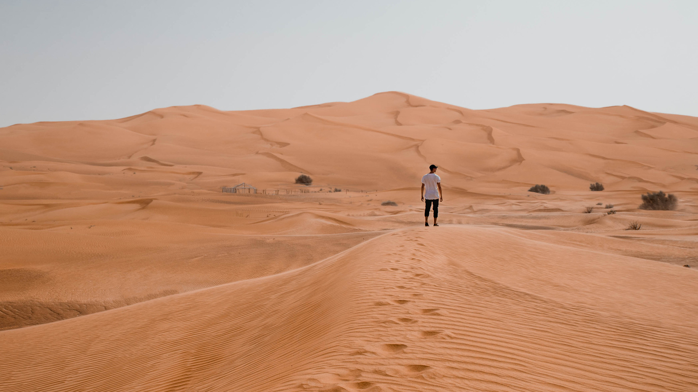 Devon Gray Media | Calgary Alberta