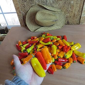 Rainbow Mini Bell Sweet Pepper Variety Seeds | Homegrown Kitchen Table