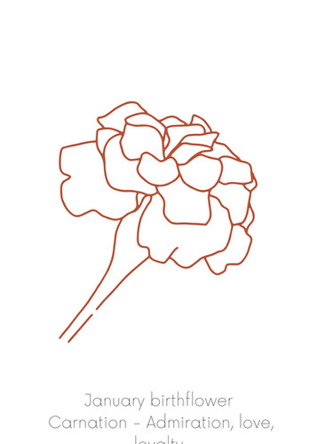 January Birth Flower | 108 Meditate
