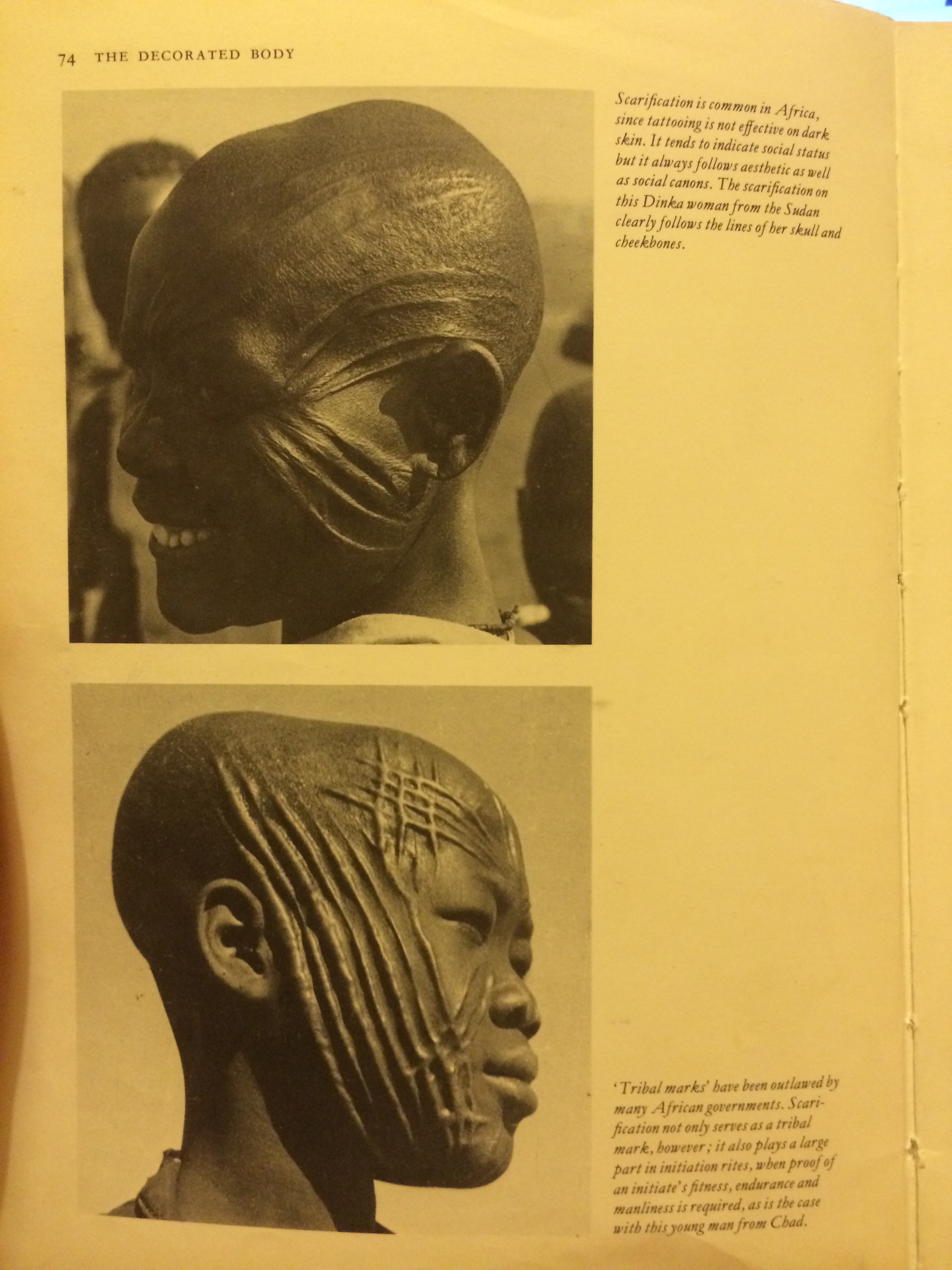 BODY MODIFICATION | makeupexploration