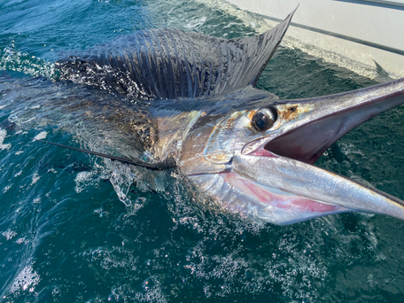 Home | Broome Fishing Club