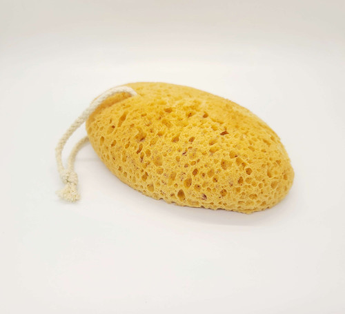 5" Sea Foam Sponge | KBWHITEFARM