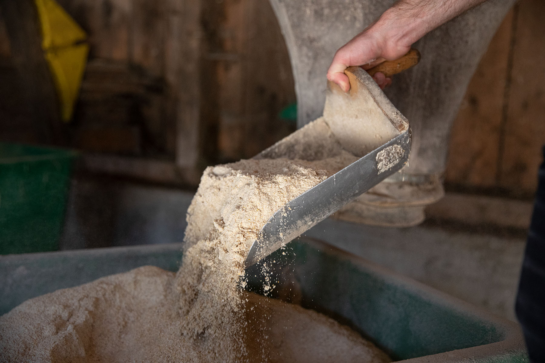 Beratungsdienstleistungen | Ration pro Q | Futterkosten | Milchqualität | Melkroboter