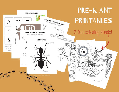 Ant Themed Learning Activity Printable | Maker Nature