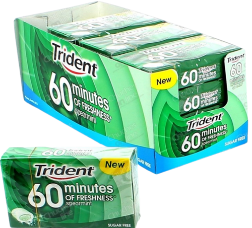 Trident 60 Minutes Spearmint (16x20g) | Terreiro Cash/Carry
