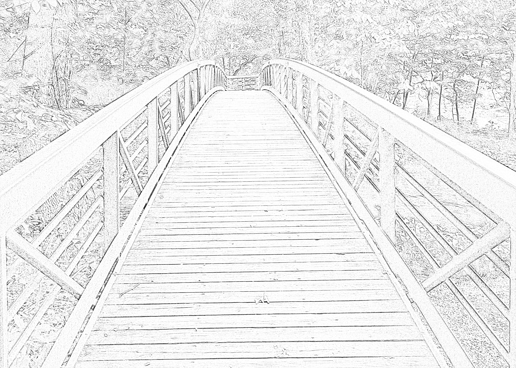 Coloring Pages | exploresummerscounty