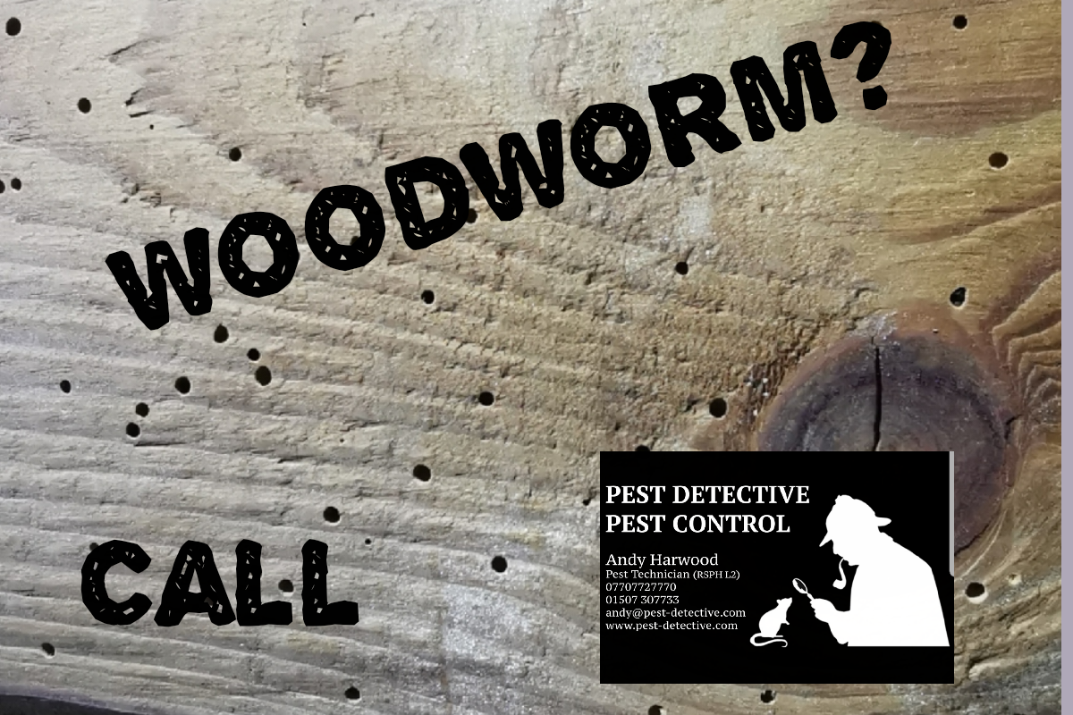 Pest Detective, Pest Control Louth, Lincolnshire,