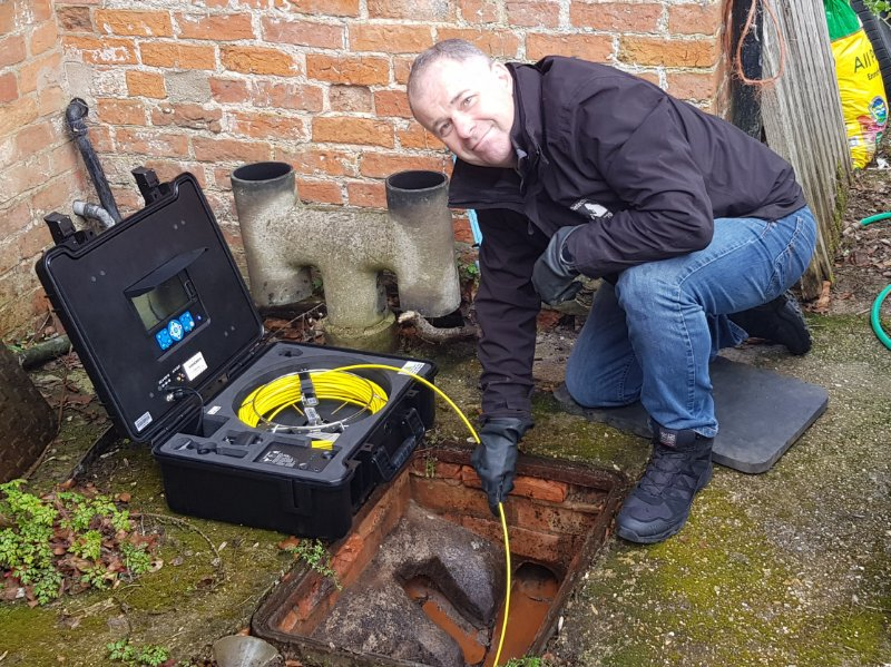 Pest Detective | Blog | Pest Control Services | Pest Management