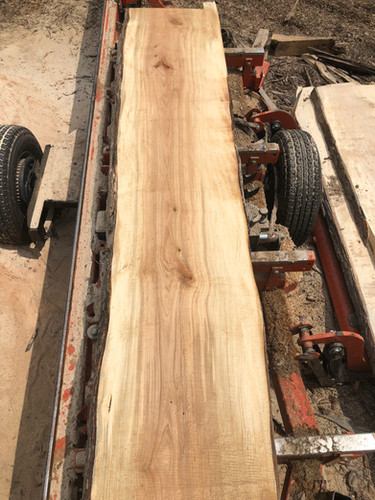 Silver Maple boards | jeffsportablesawmill