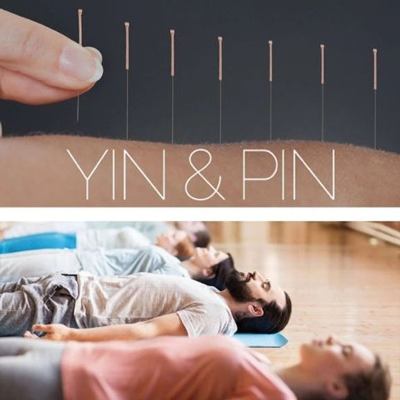 Acupuncture | Blue Nest | Cara Bergman M.Ac. Chester Springs, Pennsylvania