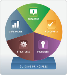 GUIDING PRINCIPLES | Stead.biz