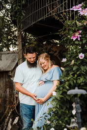 A Warm Spring Evening at Farmhouse Garden Succulents: The Dellinger ...