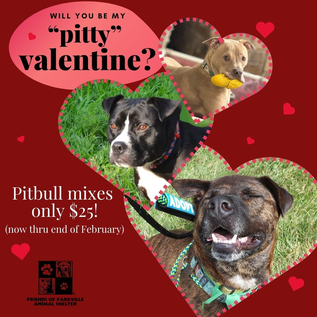 "Pitty" Valentine Special! | FOPAS