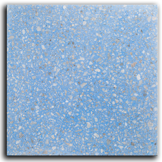 Our Colored Pool Coping - Large Aggregate Terrazzo | United States ...