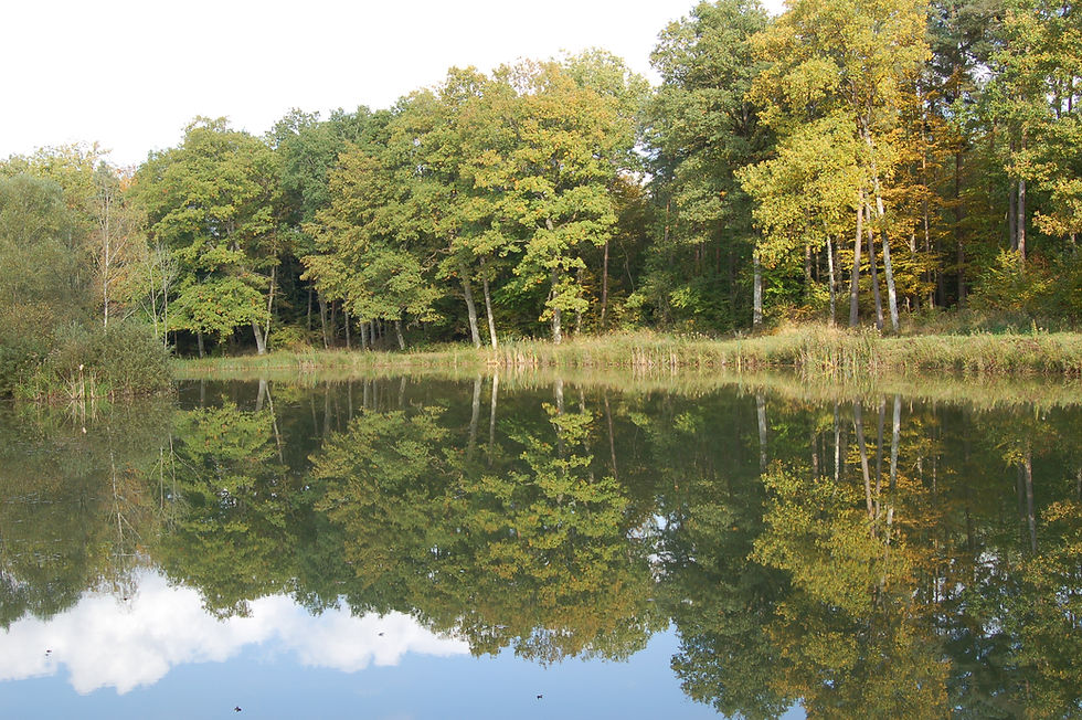 Rando à Mandres aux quatre tours