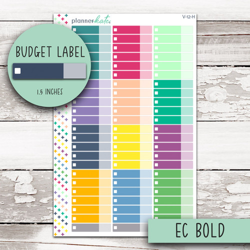 V-12-H || Budget Labels for 7x9 Planner - EC Monthly Bold | PlannerKate