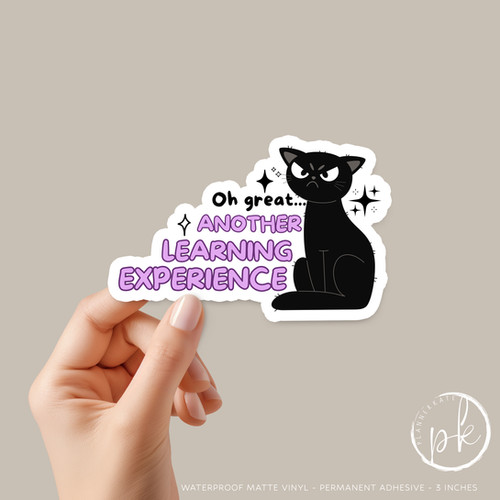 VD-038 - Vinyl Sticker - "Oh Great... Another Learning Experience ...