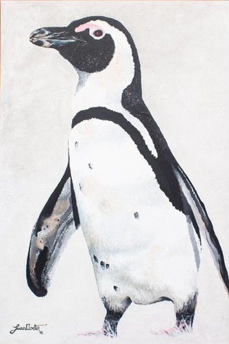African Penguin Art | Luan Cloete Art