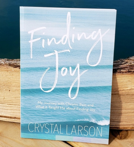 Finding Joy Book | Joyous Acres