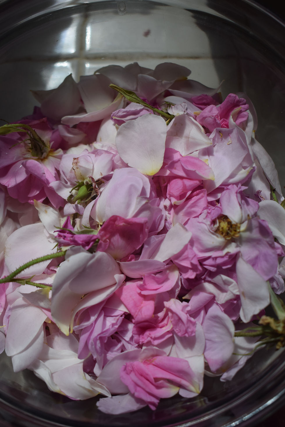 Garden Rose Cordial How-To