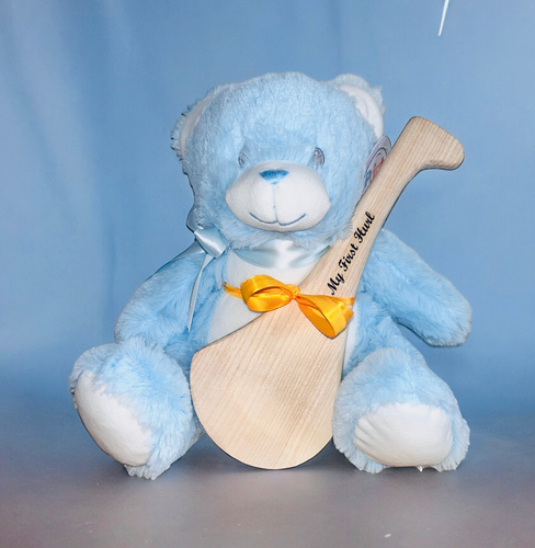 Teddy & My First Hurl | A.M Sports