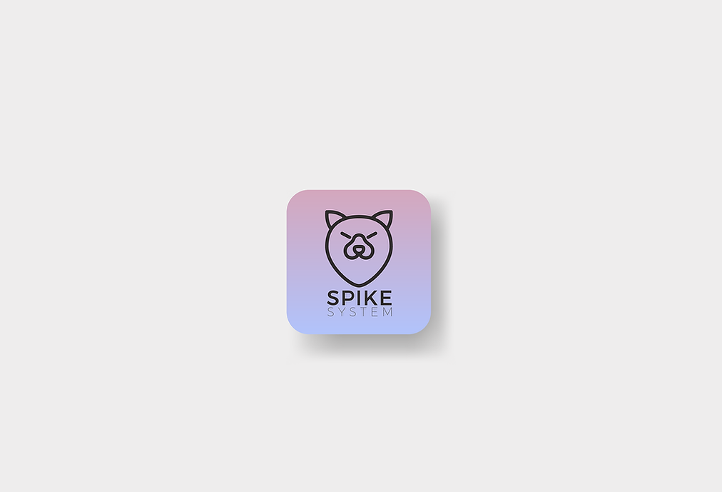 Spike System. | spikesystem2020