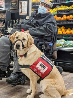 PLACEMENT & ADOPTION | Prison Pet Partnership