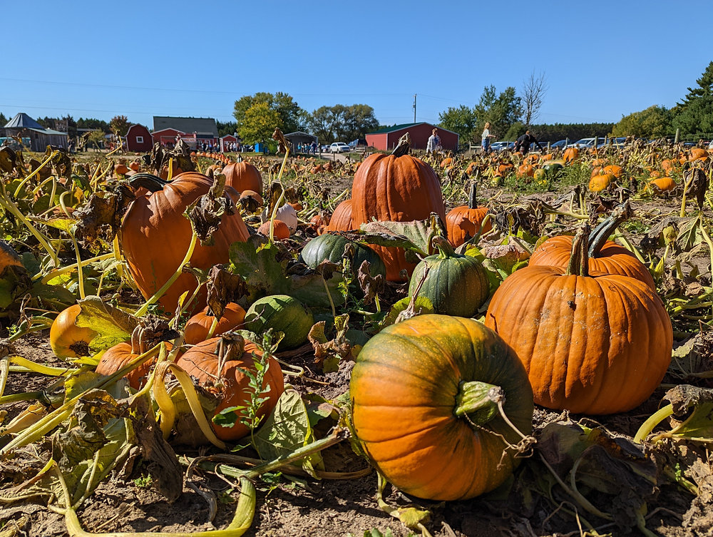 Top Things to Do with Kids in NW Michigan in September