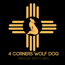 Home | wolfdogrescue