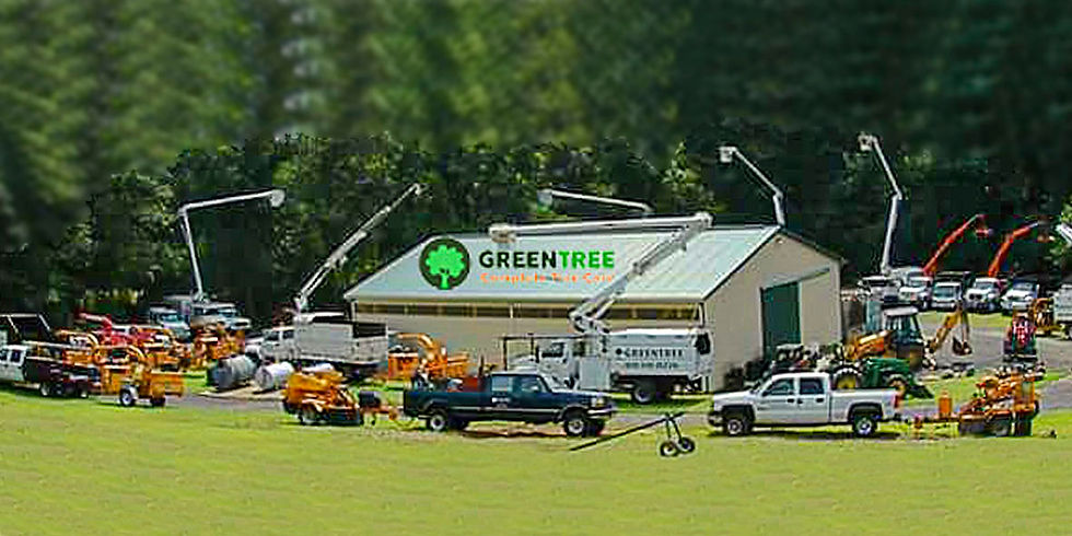 Tree Service | Usgreentree