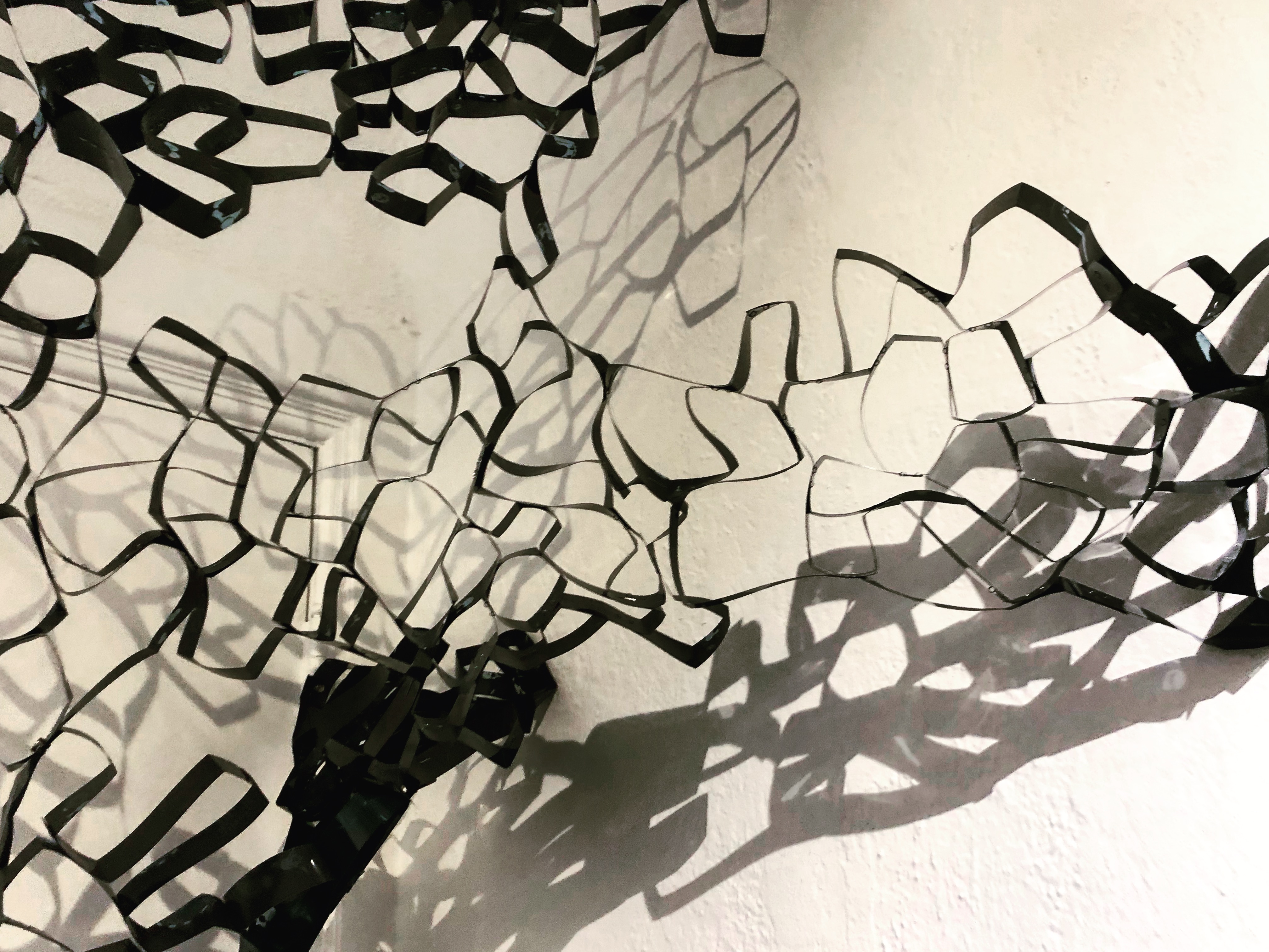 Installation Artist | Fort Collins, Colorado | Chelsea Gilmore