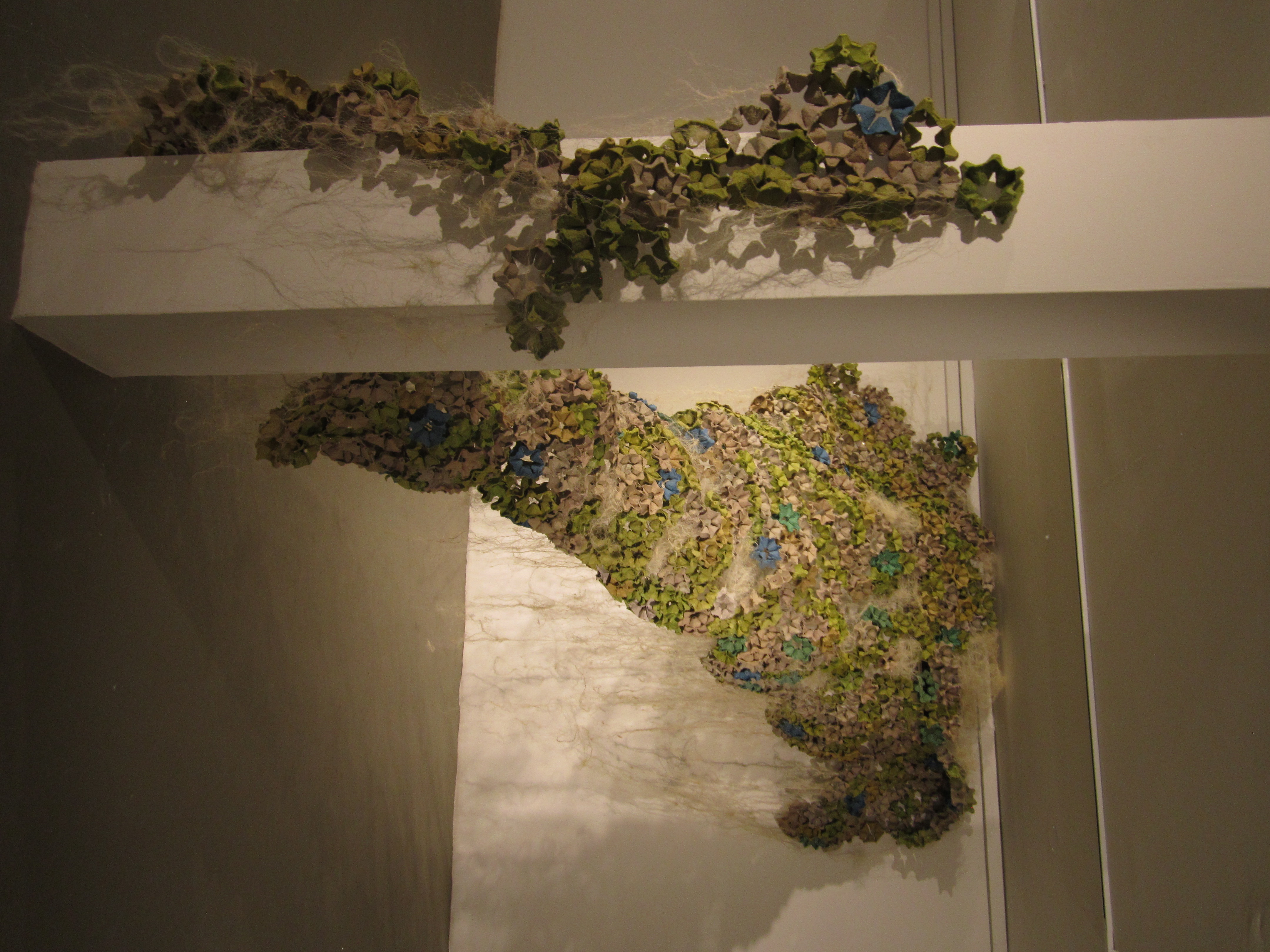 Installation Artist | Fort Collins, Colorado | Chelsea Gilmore