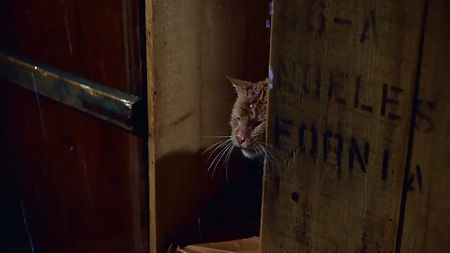 Leah Hickey · Artist