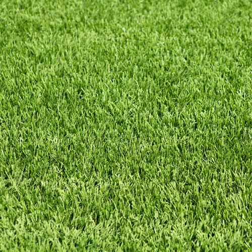 40mm Astro Turf Carpet | Artificial Grass | Carpet Galleria