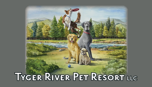 Tyger River Pet Resort LLC | Pet Boarding