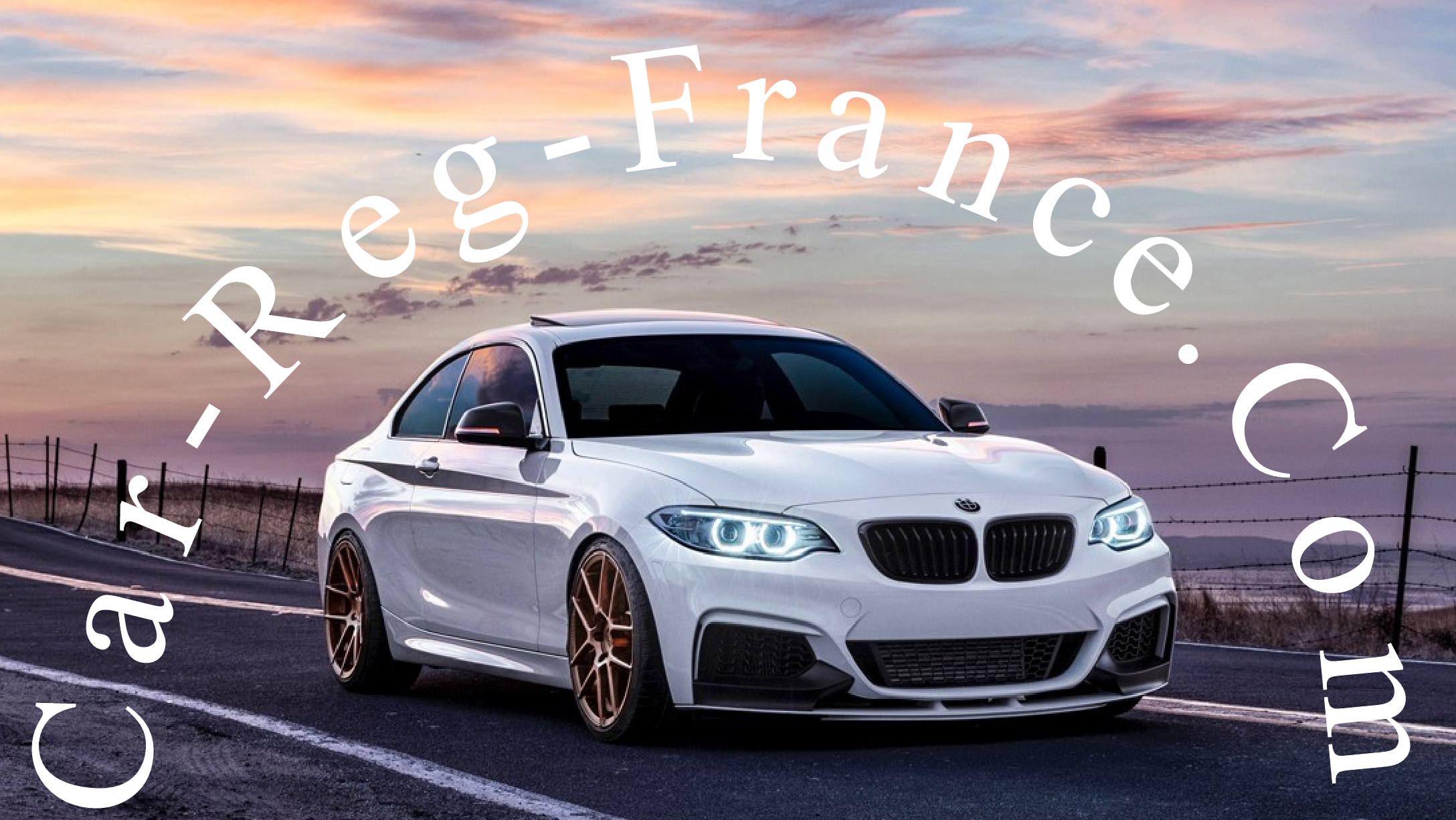Car Registration France