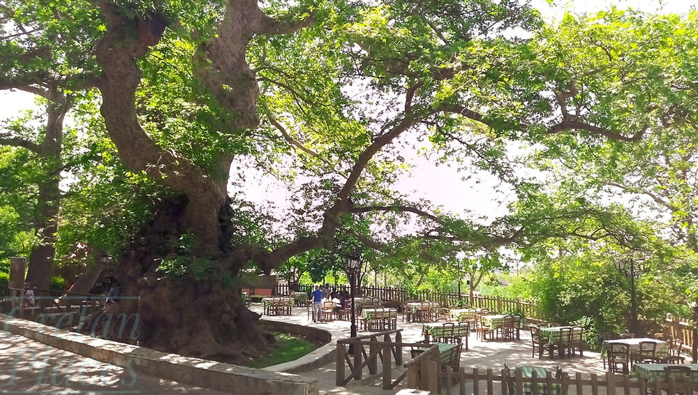 Krasi, Heraklion: a perfect place for recreation in Crete