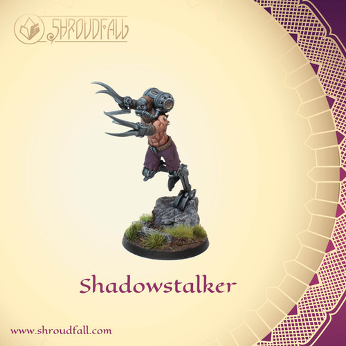 Shadowstalker (Umbral Veil) | Shroudfall