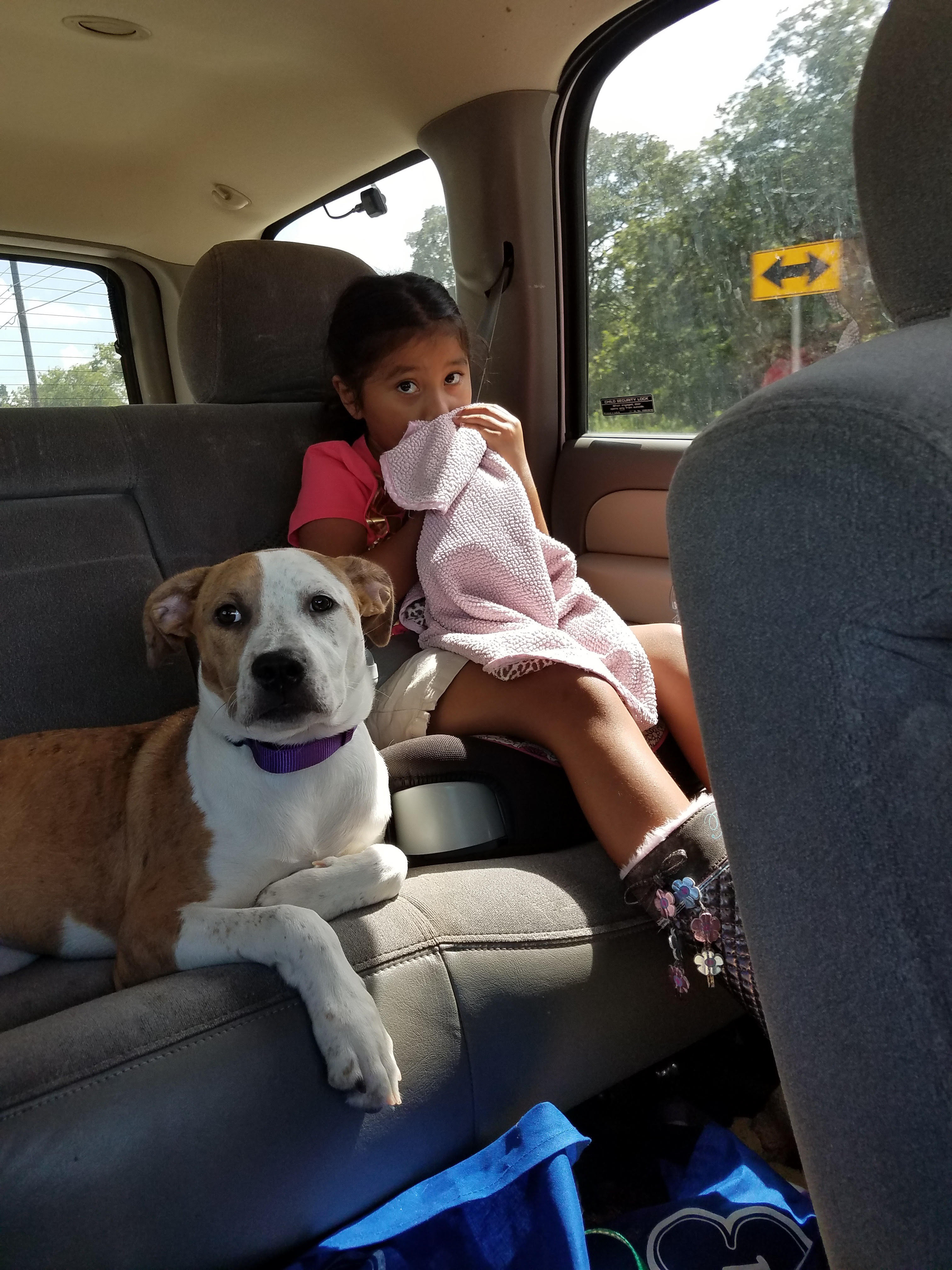 HSNT | Bailey's Story