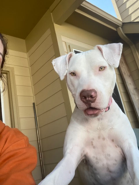 HSNT | Ghost's Story