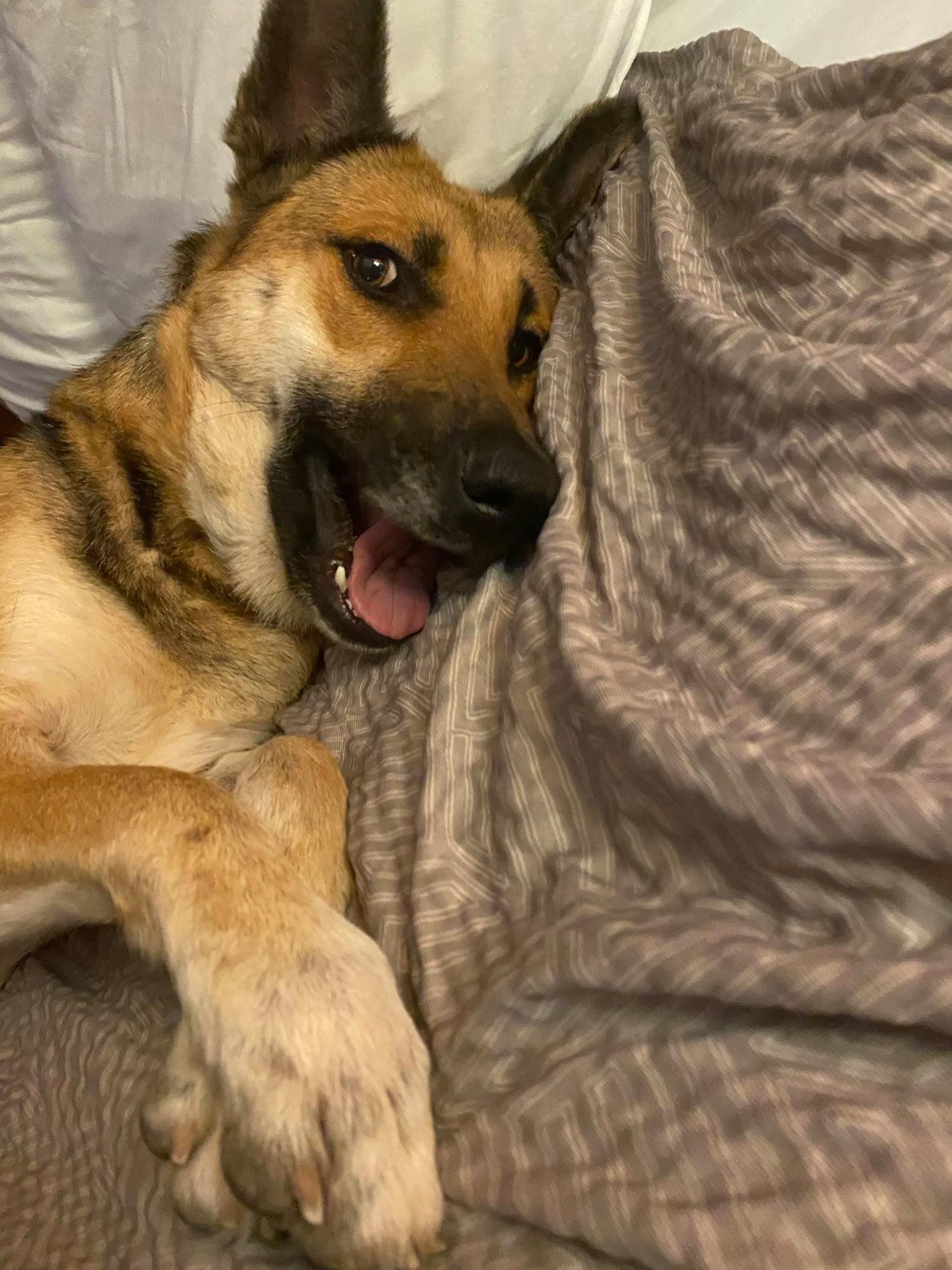 HSNT | Dallas's Story