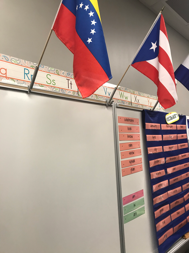 My Top 5 Ways to Support ESL Newcomers and Create a Strong ESL Program ...