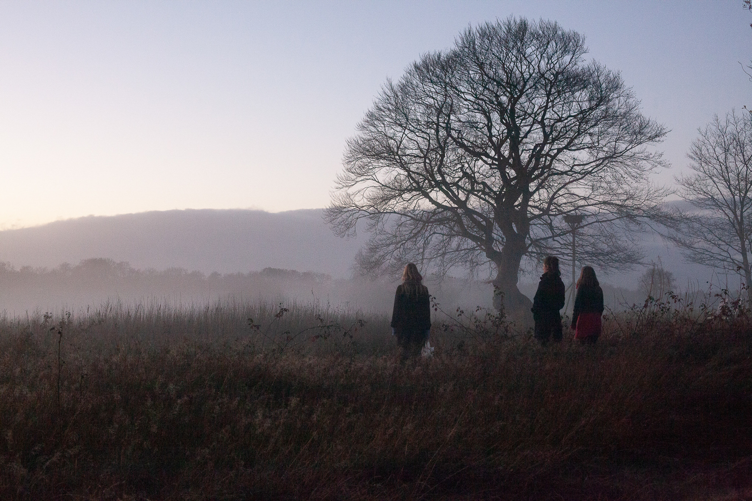 Jouw gids in bosbaden en natuurverbondenheid | The Forest Bathing Circle