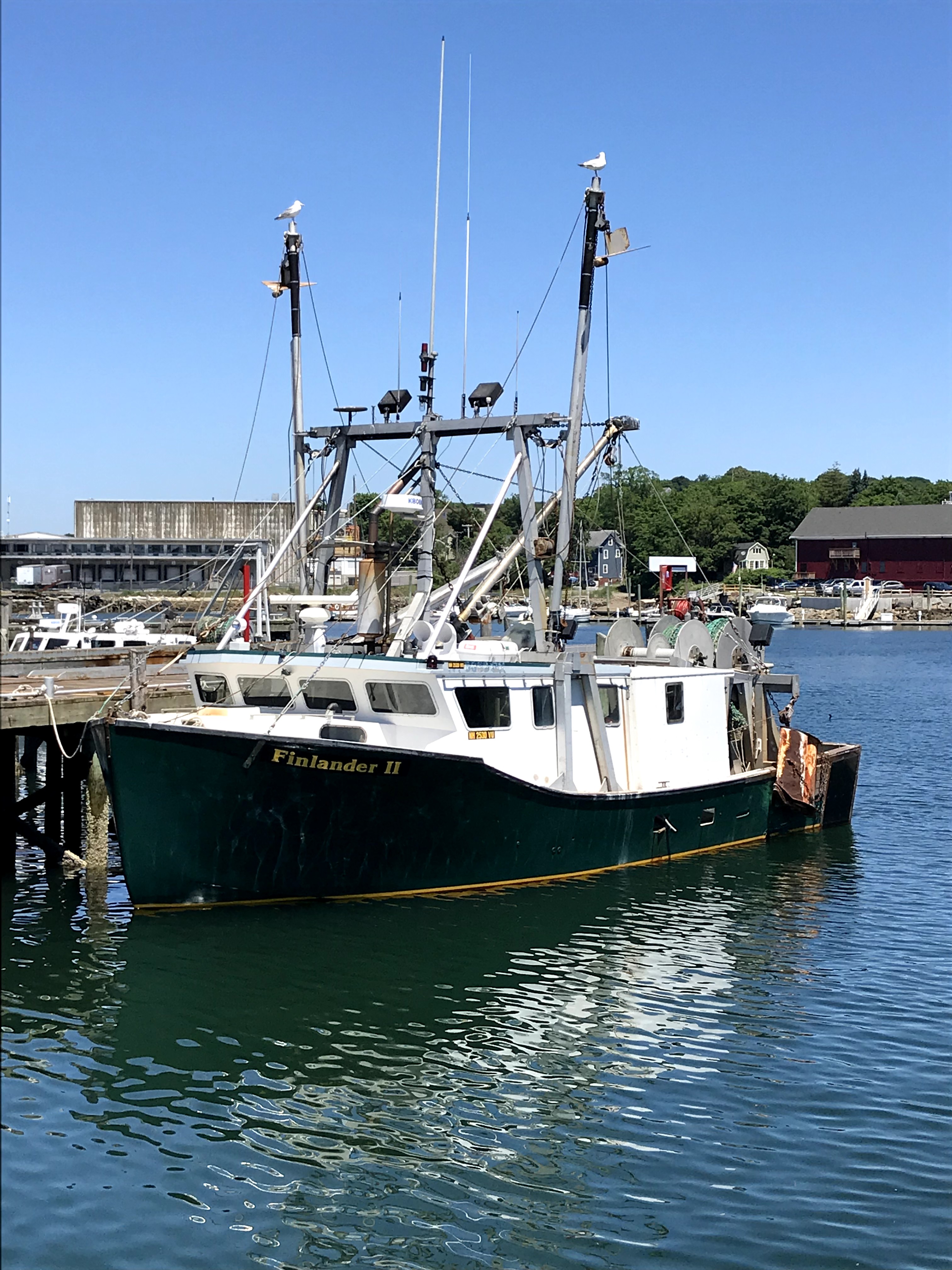 New England Fishmongers | Direct off the boat